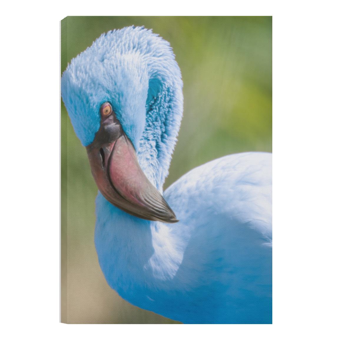 CANPO75 Portrait Canvas .75in Frame – Kool-Kool